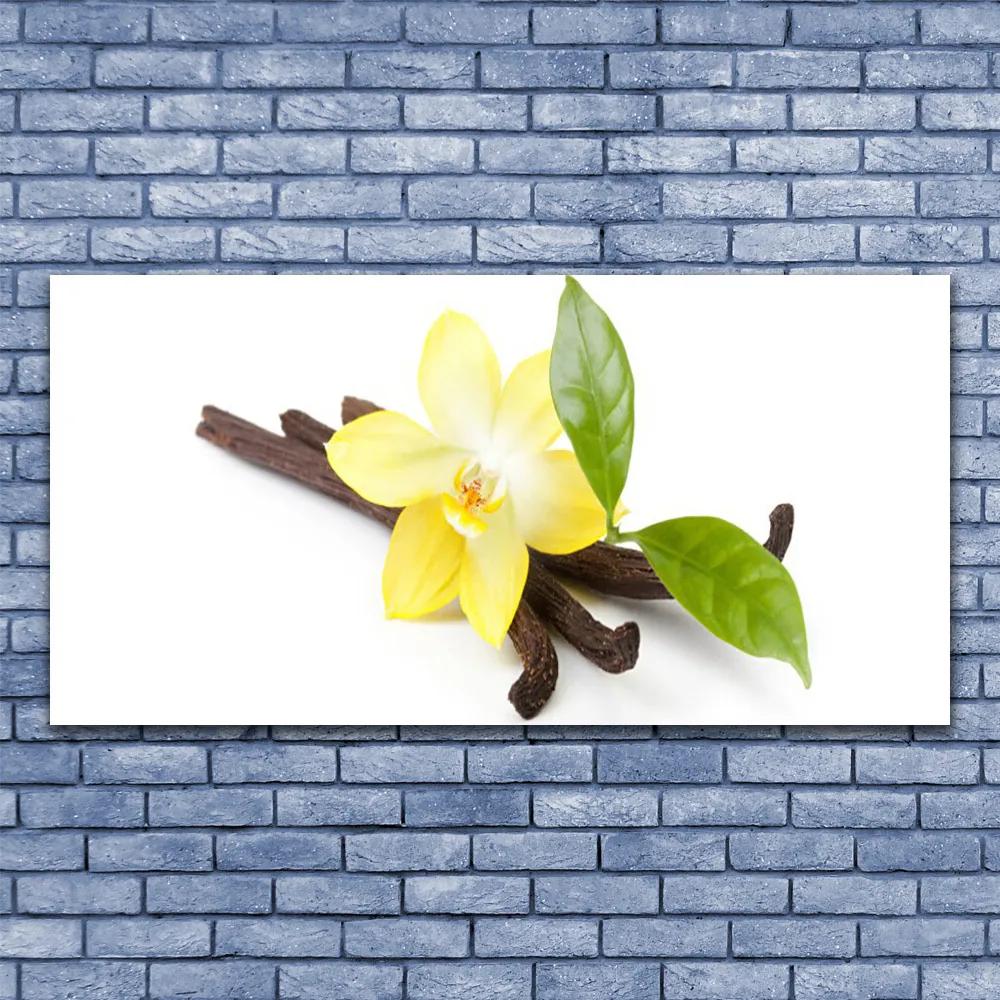 akrylový obraz Vanilka Listy Rostlina 120x60 cm