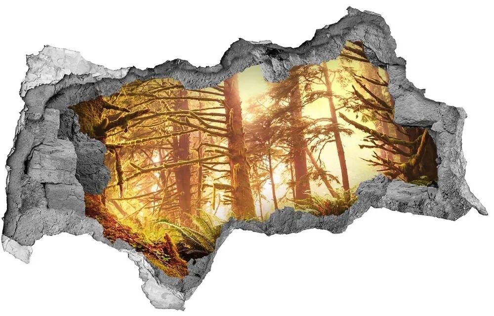 Wallmuralia Díra 3D ve zdi nálepka Deštný prales 95x73 cm