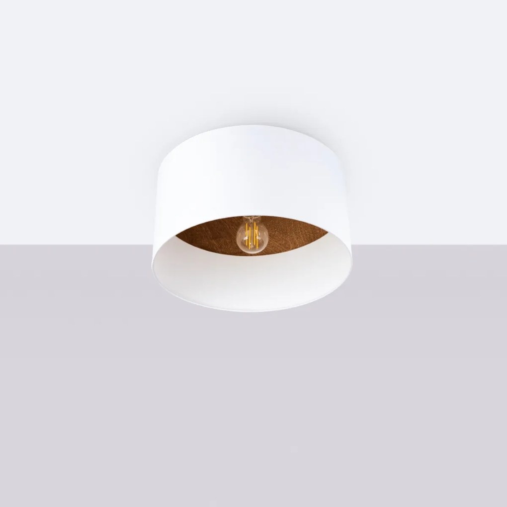 Sollux Lighting Stropní svítidlo TELESTO bílé/tmavě hnědé