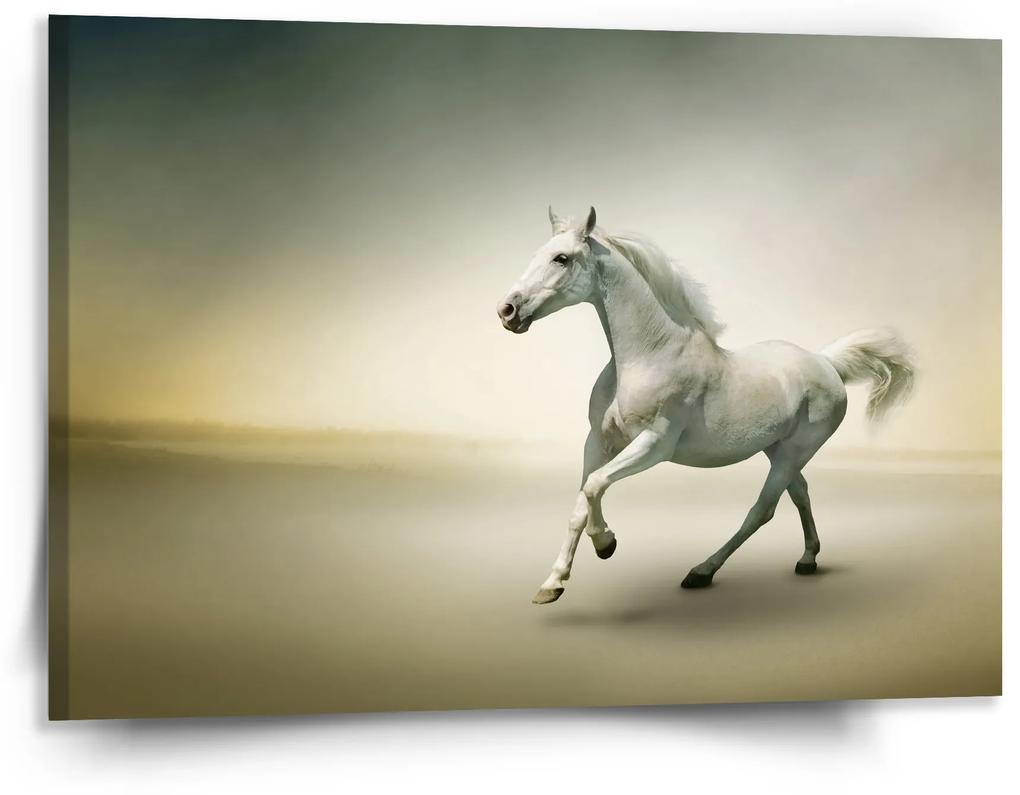 Obraz SABLIO - Bílý kůň 2 150x110 cm