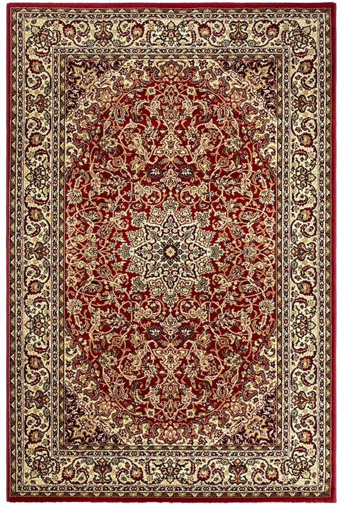 Koberce Breno Kusový koberec SOLID 55/CPC, Červená, Vícebarevné, 240 x 340 cm
