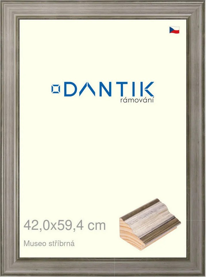 DANTIK rámeček 42x59,4 | Museo stříbrná (Plexi Čiré)