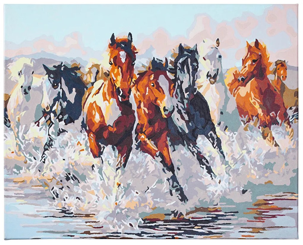 Weltbild Malování podle čísel - Divocí koně