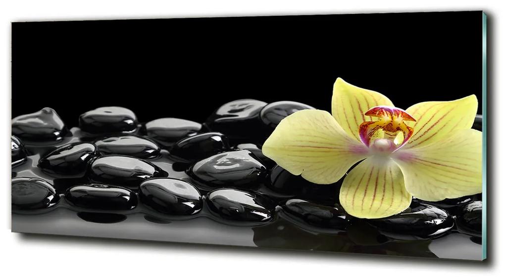 Foto obraz sklo tvrzené Orchidej