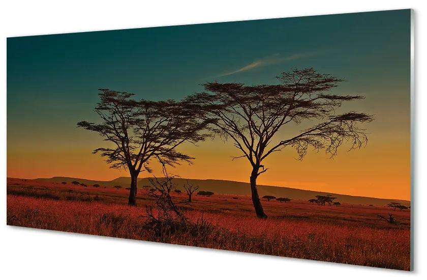 akrylový obraz oblohy stromu 125x50 cm