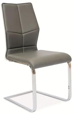 Jídelní židle H-422 šedá/bílá záda
