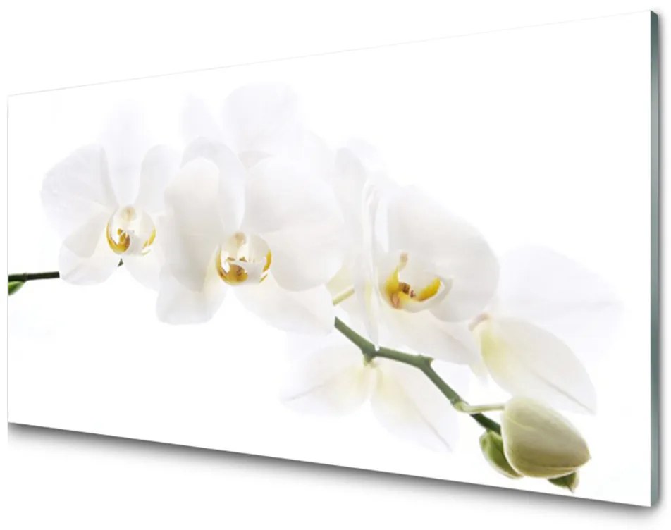 Obraz na skle Skleněný Květíny Rostlina
