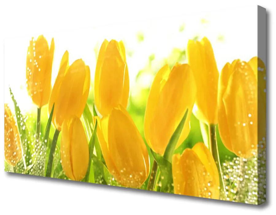 Obraz na plátně Tulipány Květiny Rostlina 100x50cm