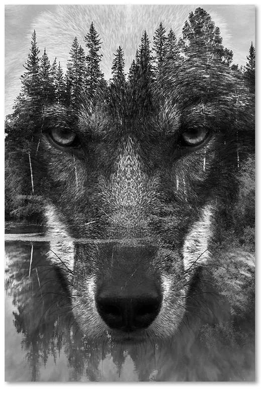 Gario Obraz na plátně Černý vlk abstraktní Rozměry: 40 x 60 cm