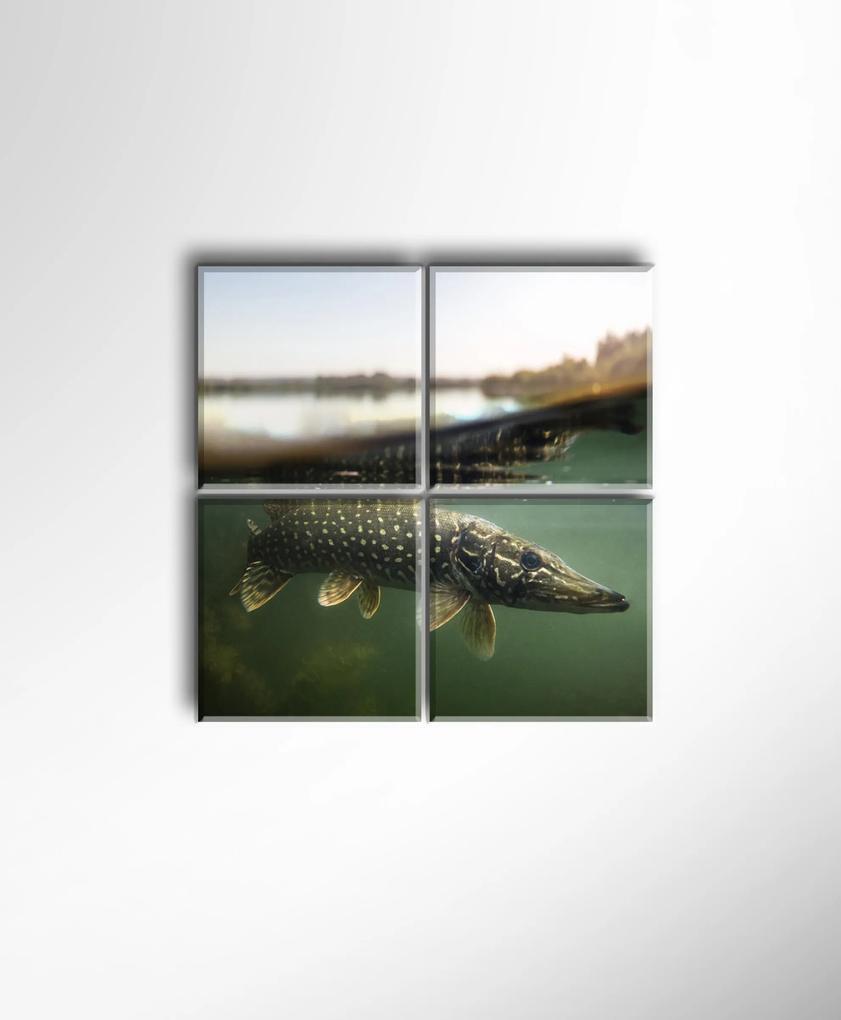 Malvis ® Obraz Štika pod vodou ROZMĚR (šířka x výška): pětidílný obdélník 150x60 cm