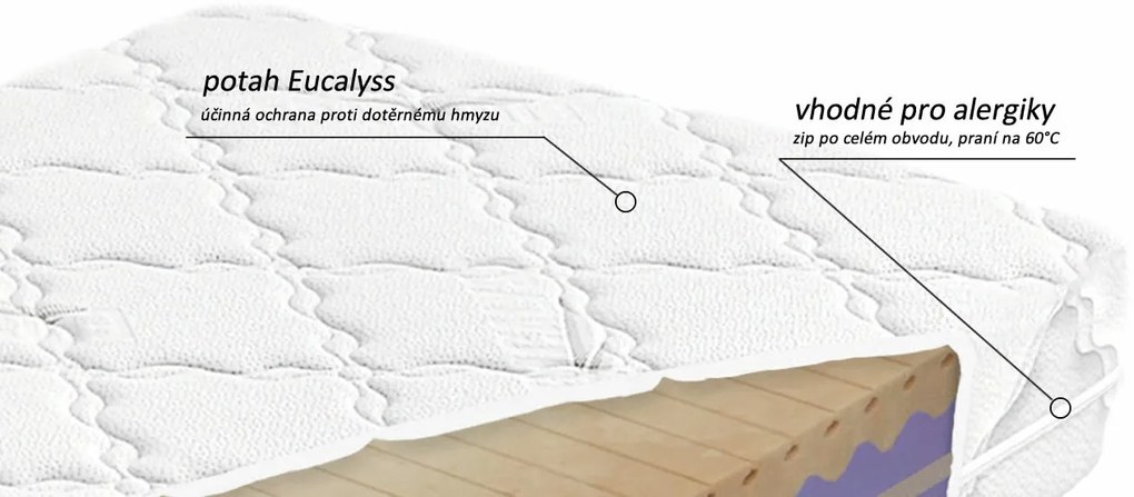 Tvrdší ortopedická matrace BIOGREEN XXL, 25cm, 80x200cm, 170kg, studená pěna, 7 let záruka