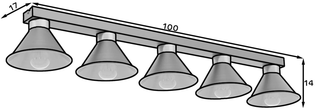Eltap Moderní stropní osvětlení Detmer 5 line, 17x100x14cm