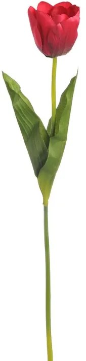 Tulipán červený plný květ 60cm, květ 6,5cm