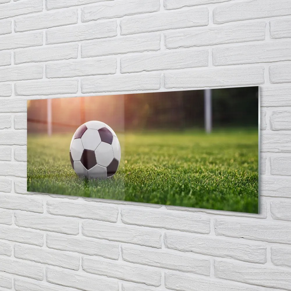 akrylový obraz Fotbal tráva gateway 120x60 cm