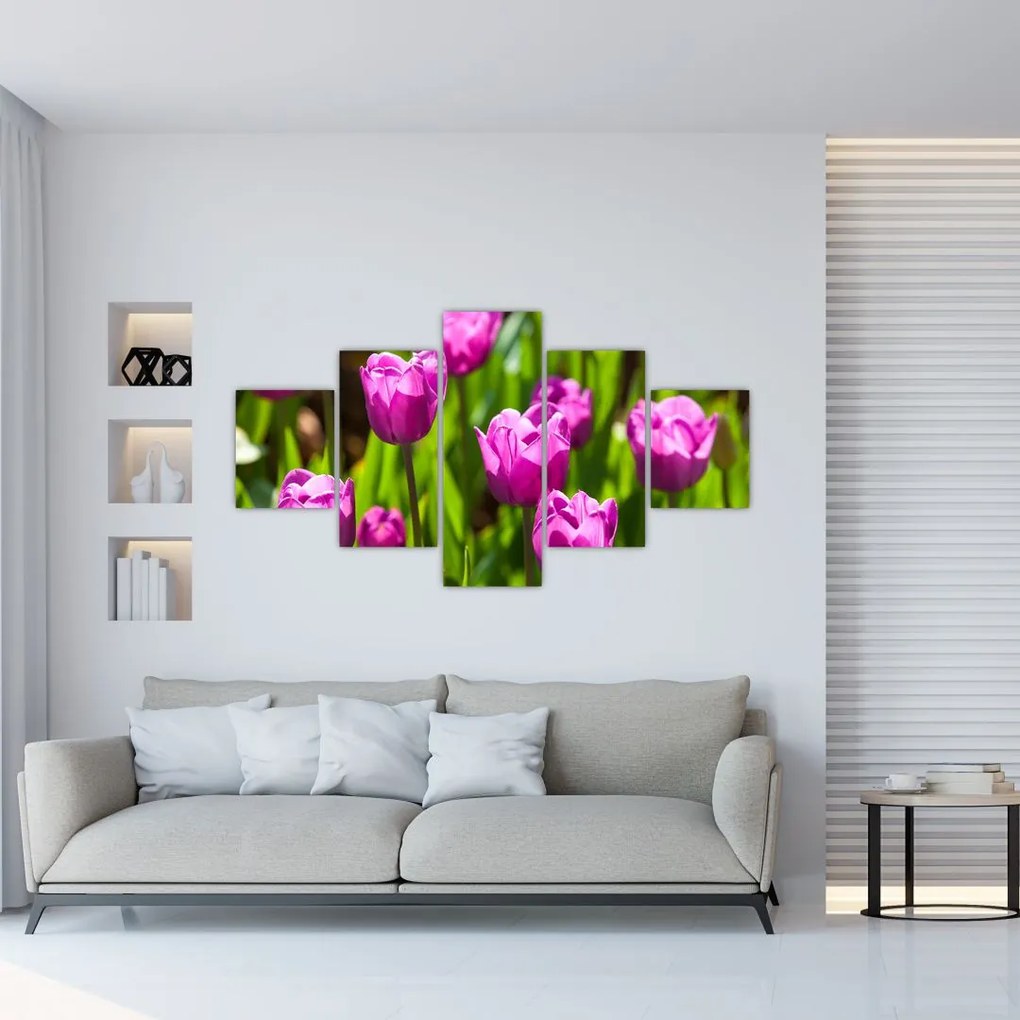 Obraz tulipánů na louce (125x70 cm)