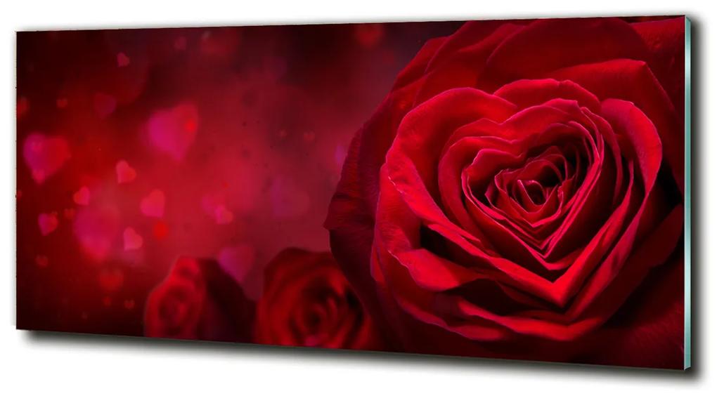Foto obraz skleněný horizontální Červená růže srdce