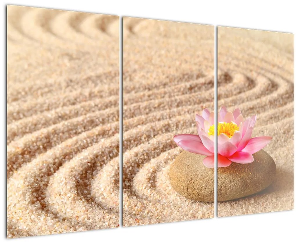 Obraz kamene s květinou na písku (120x80 cm), 40 dalších rozměrů