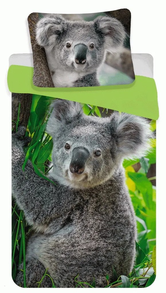 Jerry Fabrics Povlečení Koala medvídkovitý JF - 140x200, 70x90, 100% bavlna