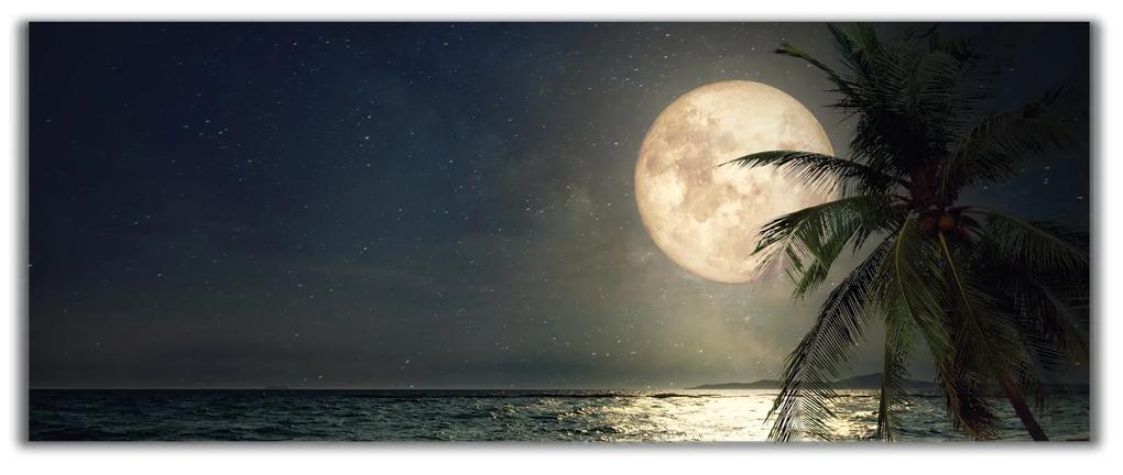 Malvis ® Obraz Pláž s palmou při měsíci Velikost: čtverec - 50x50 cm