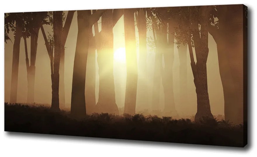Wallmuralia Foto obraz na plátně Mlha v lese 100x50