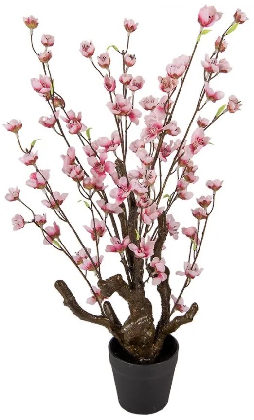 Dekorační stromek třešeň s růžovými květy Cherry Blossom - 18*18*70 cm