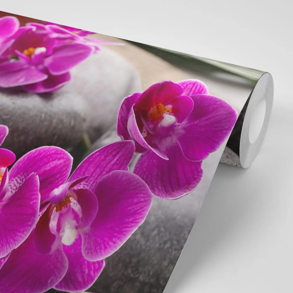 Samolepící fototapeta nádherná orchidej a Zen kameny