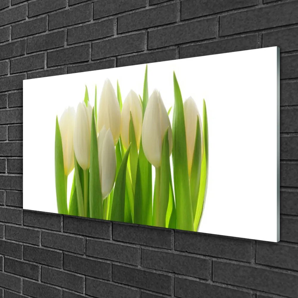 Obraz na skle Tulipány Rostlina Příroda 100x50 cm
