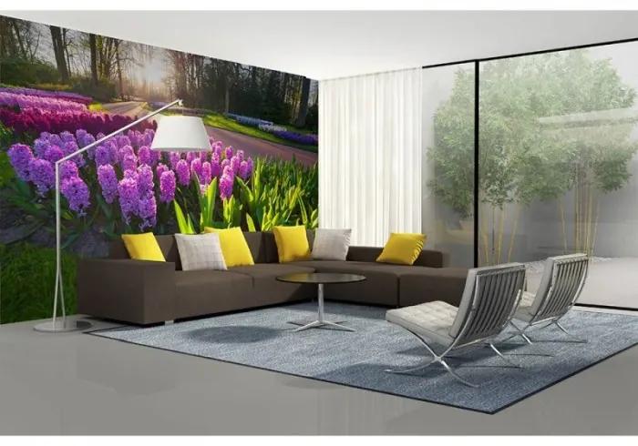 DIMEX | Samolepicí vliesová fototapeta na zeď Květy hyacintu MA-5-0068 | 375 x 250 cm | zelená, vícebarevná, fialová