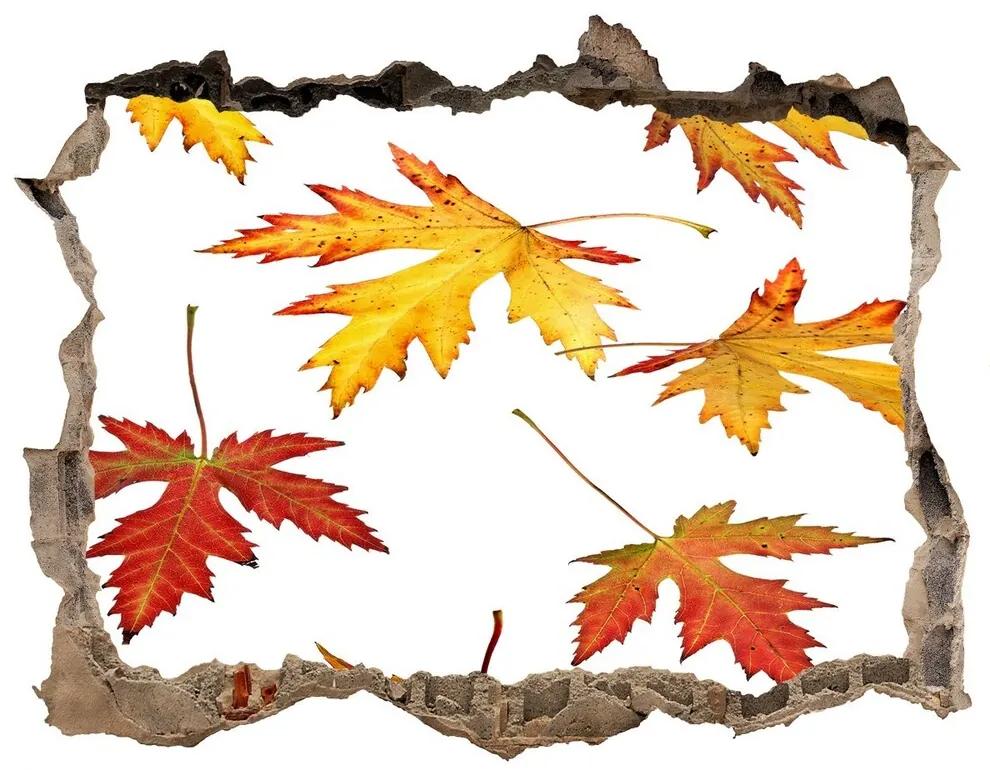 Wallmuralia Samolepící nálepka na zeď Podzimní listí 95x64 cm