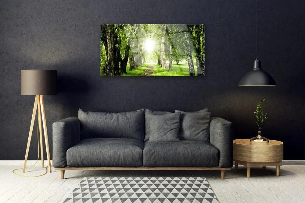 Obraz na skle Les Slunce Stezka Příroda 100x50 cm
