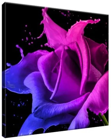 Tištěný obraz Růže z barev - Jakub Banas 30x30cm 3578A_1AI