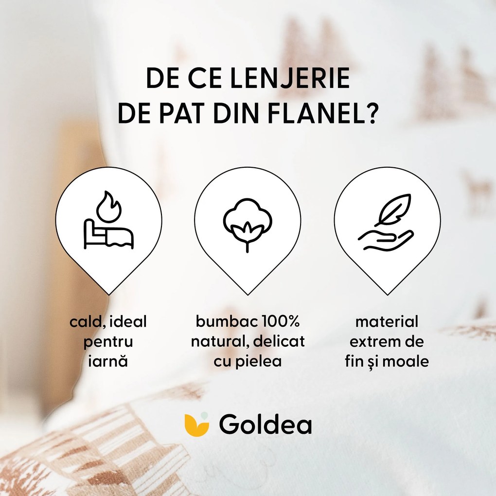 Goldea flanelové povlečení - beskydy 240 x 220 a 2ks 70 x 90 cm