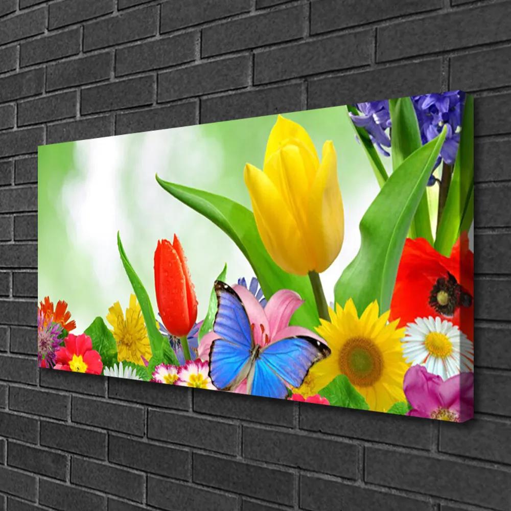 Obraz na plátně Motýl Květiny Příroda 140x70 cm