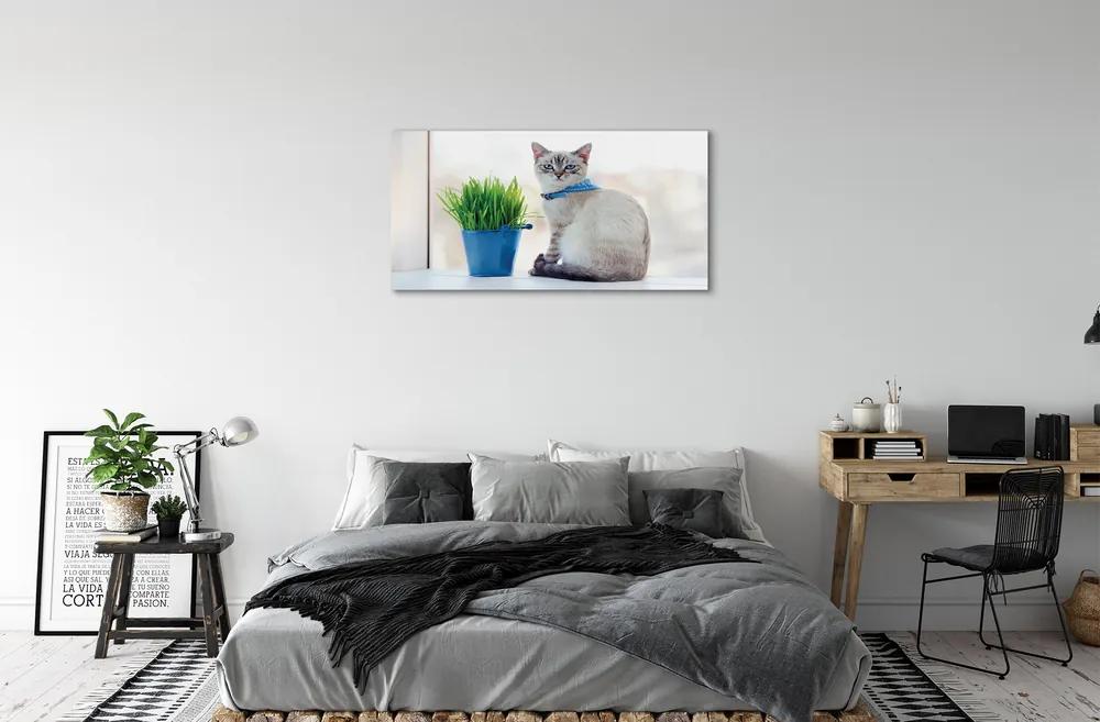 akrylový obraz sedící kočka 100x50 cm