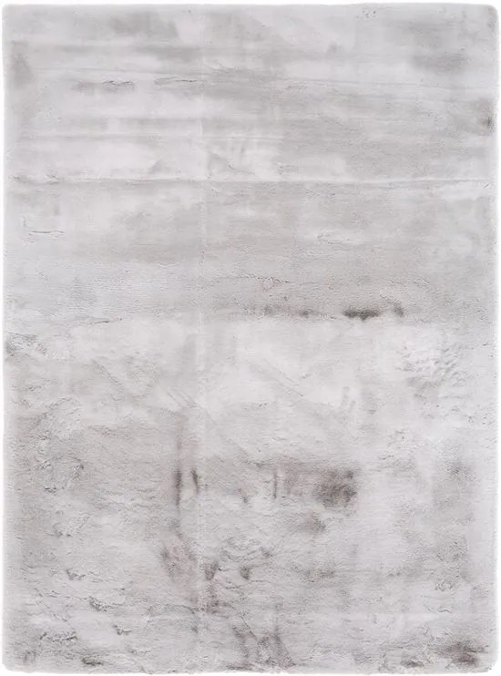 Moderní kusový koberec Angelo Světle šedý Rozměr: 110x150 cm
