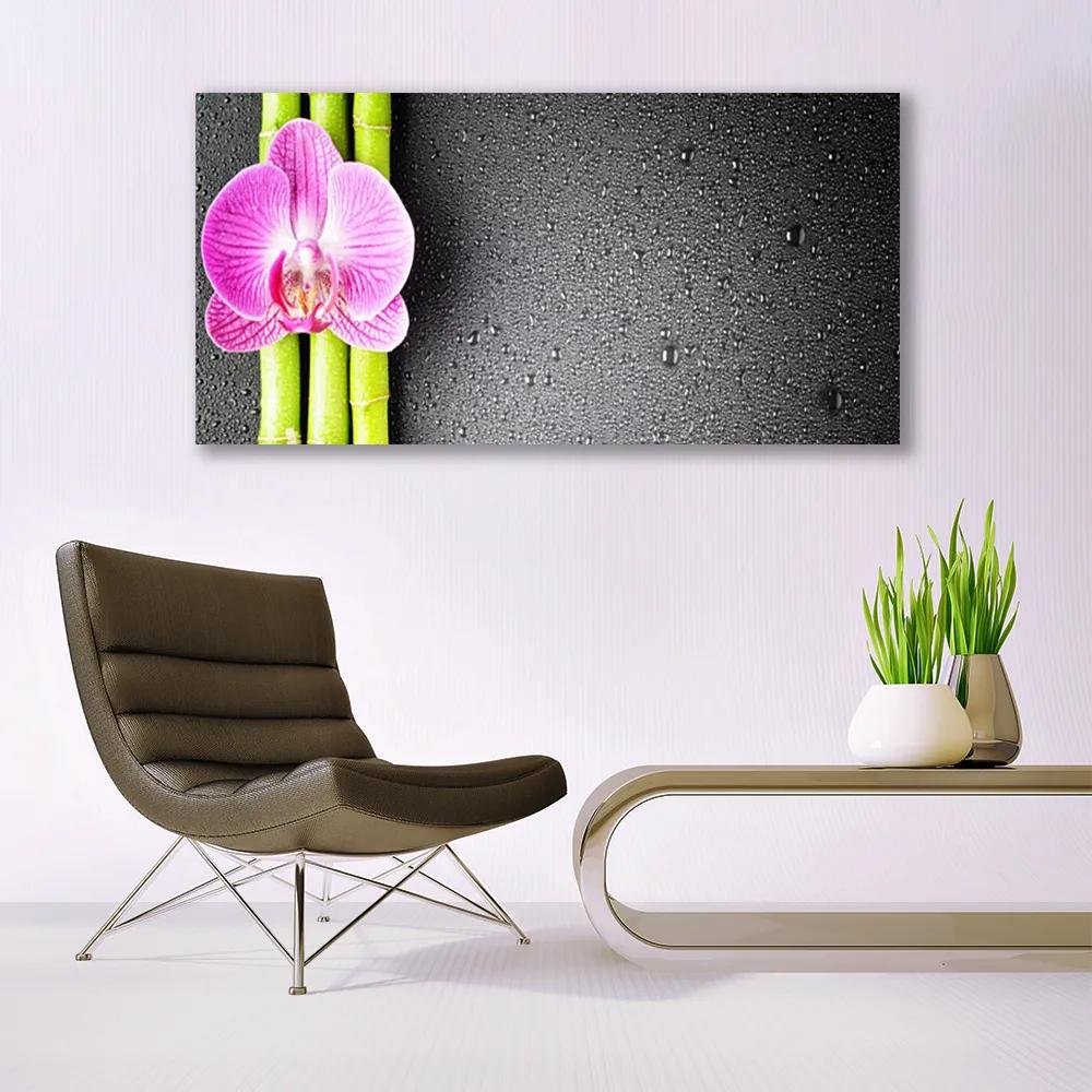 Plexisklo-obraz Bambus Květ Orchidej 120x60 cm
