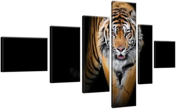 Tištěný obraz Silný tygr 180x100cm 2358A_6E