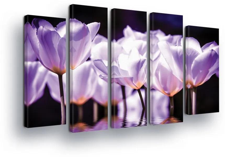 GLIX Obraz na plátně - Fialovo-bílé Tulipány 2 x 30x80 / 3 x 30x100 cm