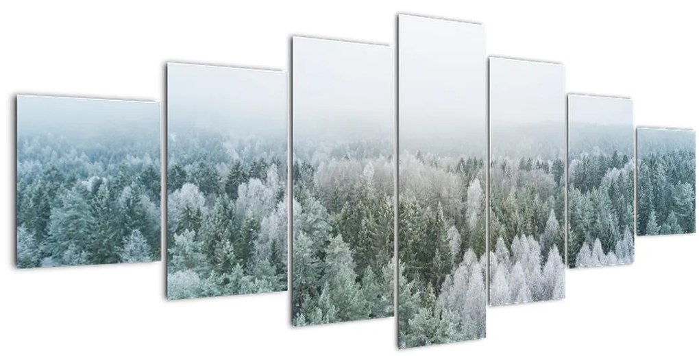 Obraz - Zasněžené vrcholky lesů (210x100 cm)