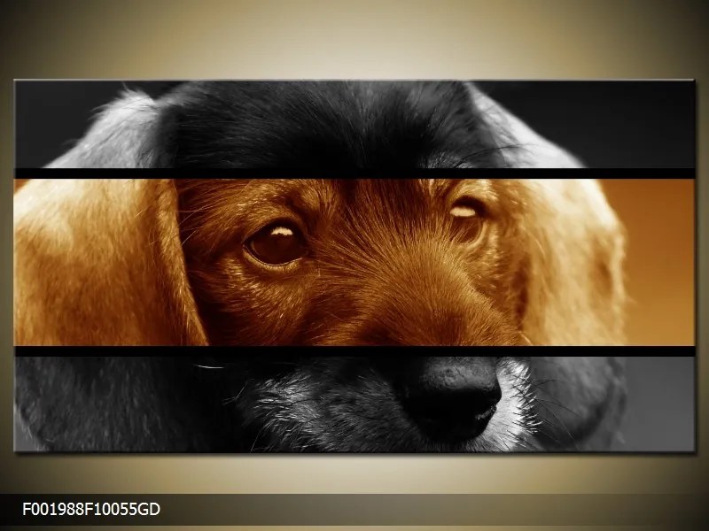 Dvoubarevný obraz psa (), 40 dalších rozměrů