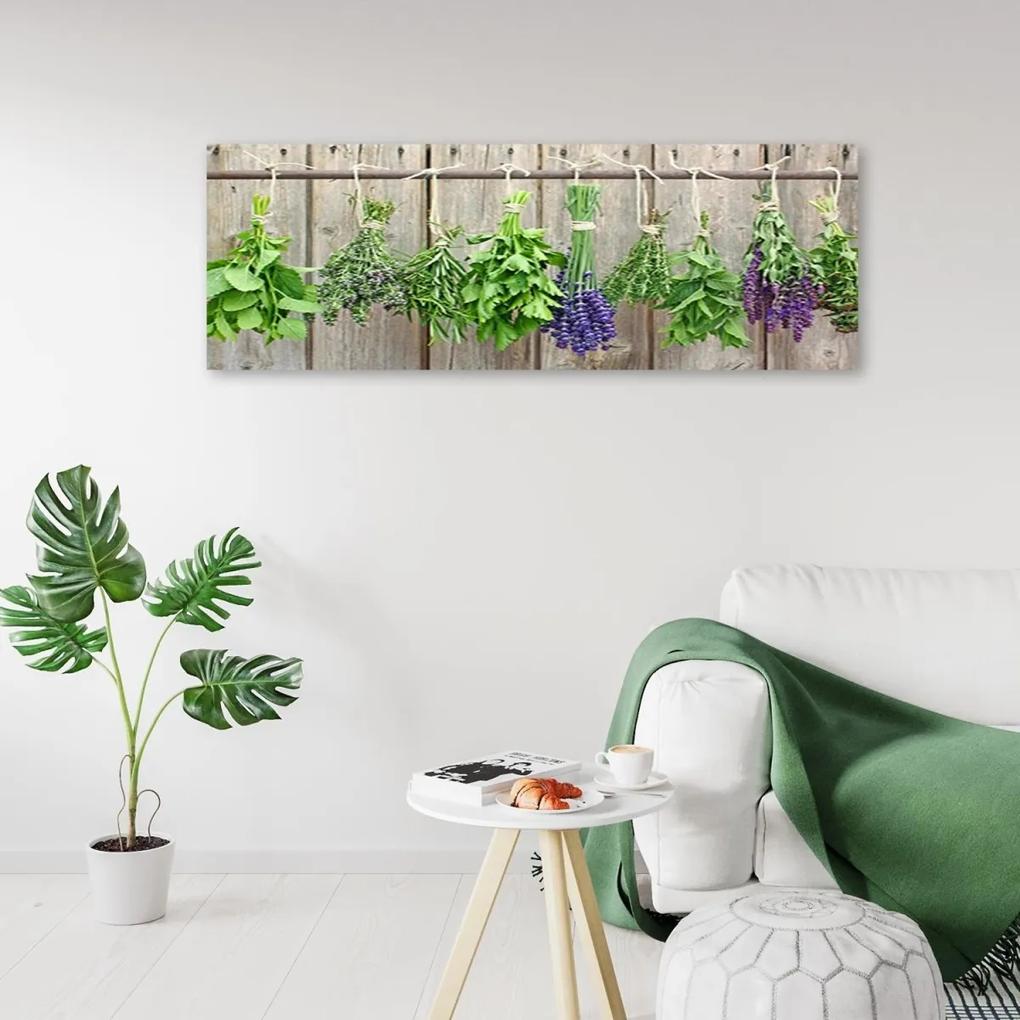 Obraz na plátně Kuchyňské bylinky Koření - 150x50 cm