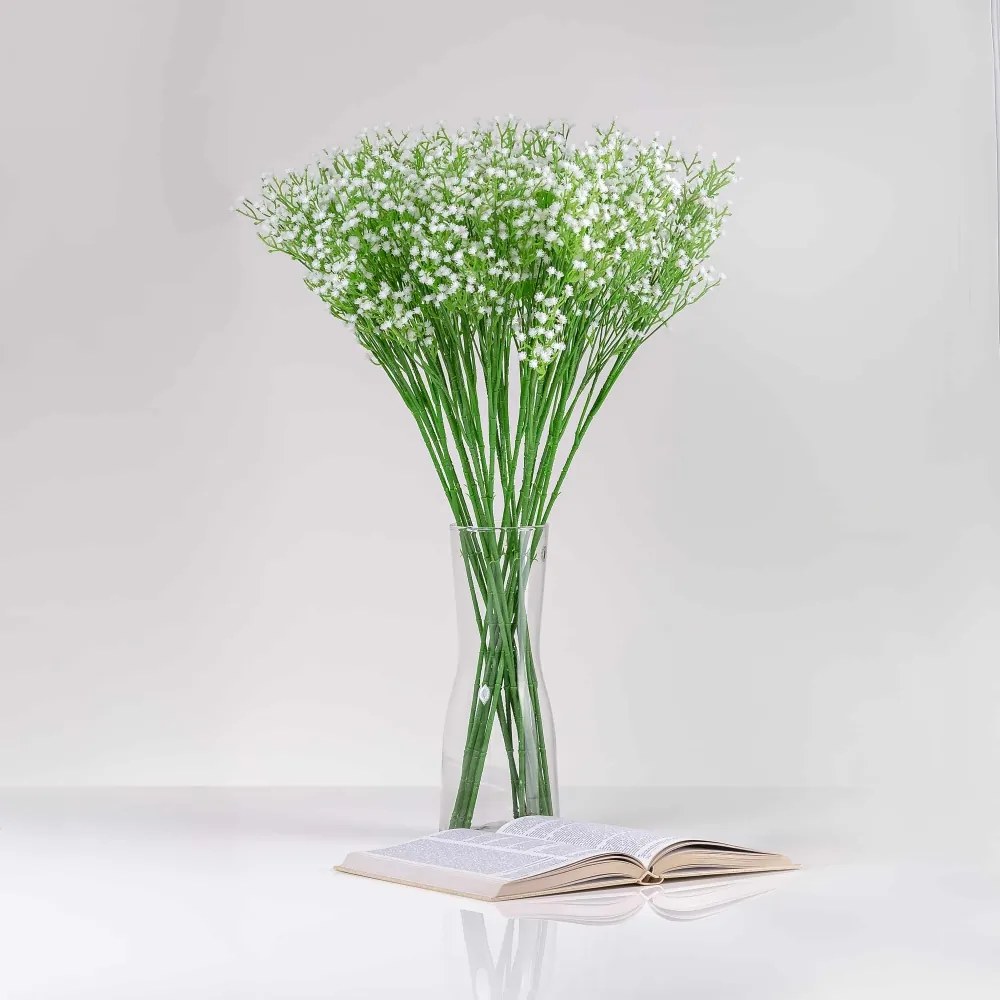 Gypsophila JARKA