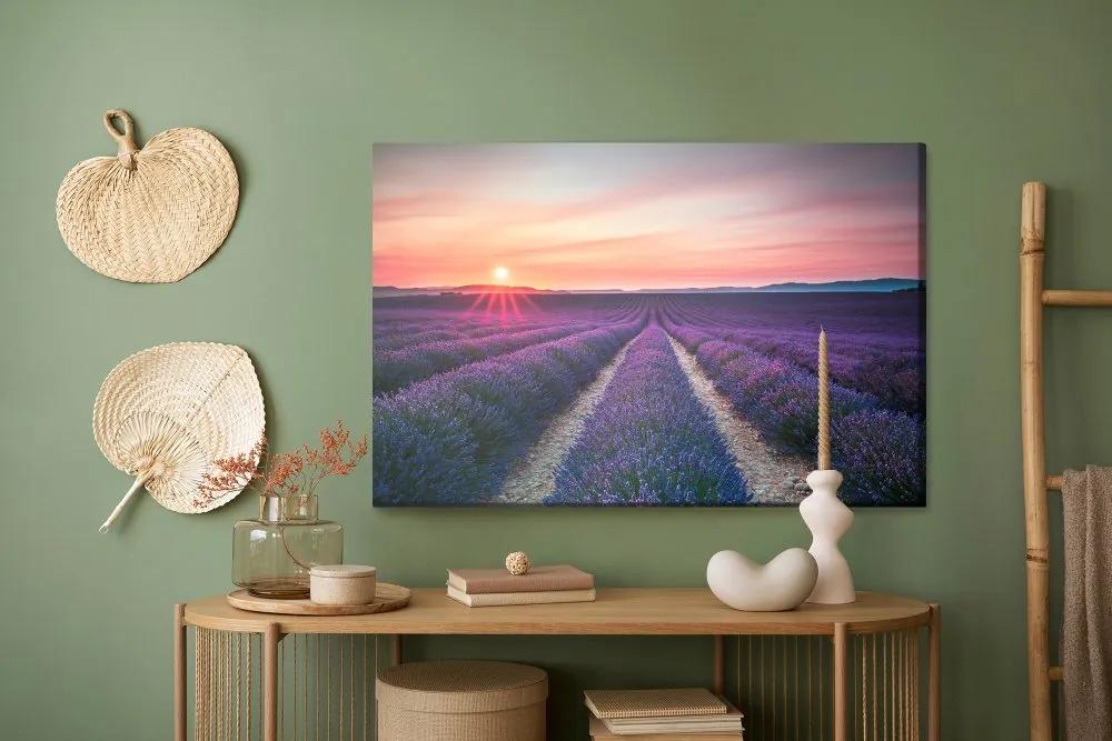 Obraz Levandulové Pole Při Západu Slunce Nedostatek Nedostatek Přírodní plátno 90x60