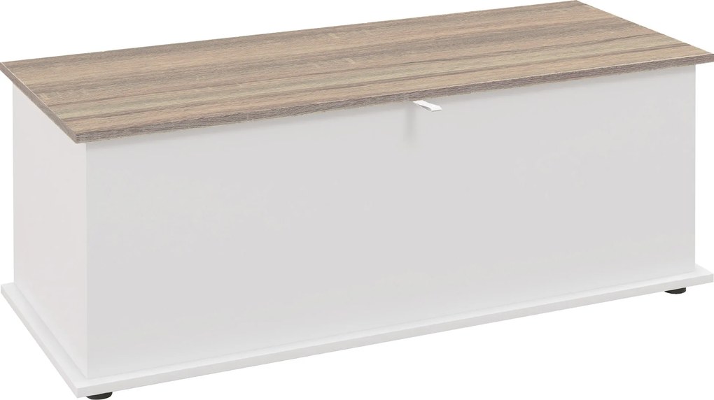 Dřevěná úložná truhlice HOMCOM s víkem, max. zatížení 120 kg pro ložnici a obývací pokoj, 100x40x40 cm, Přírodní a Bílá