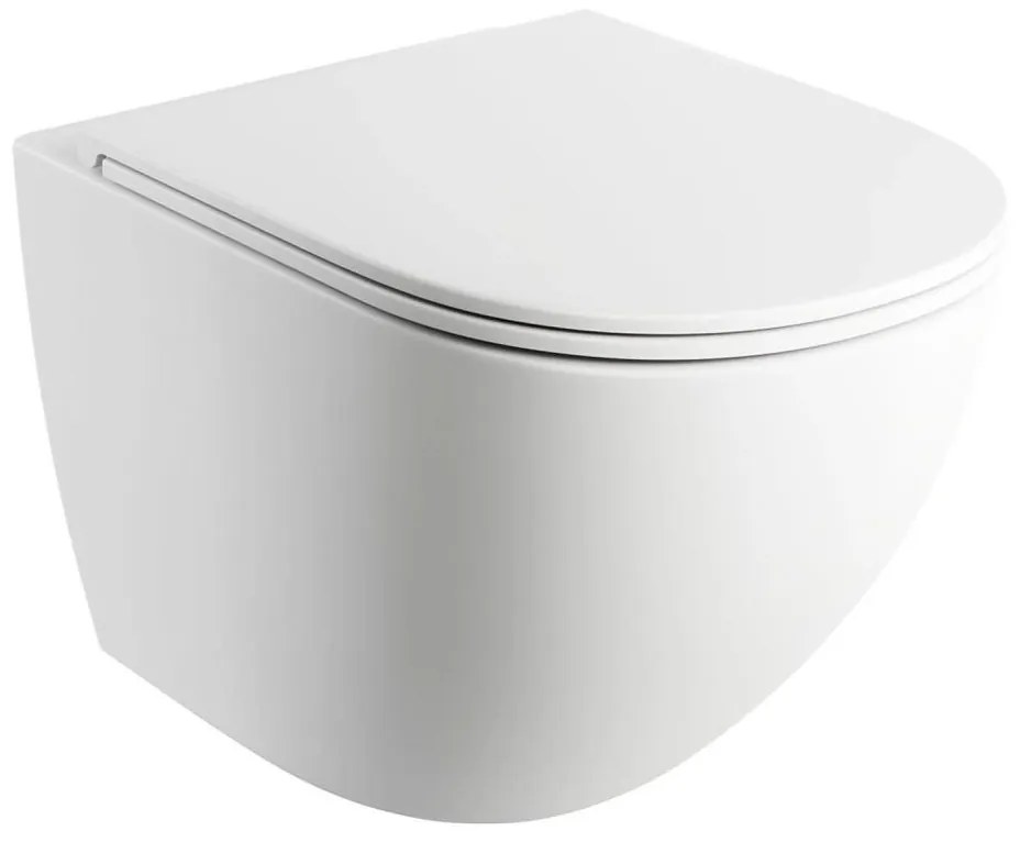 OMNIRES OTTAWAMWBM - Závěsné WC s prkénkem SoftClose OTTAWA keramika/matná bílá OTTAWAMWBM