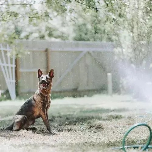 Osvěžovací set vodní mlha - 20 m - Gardlov