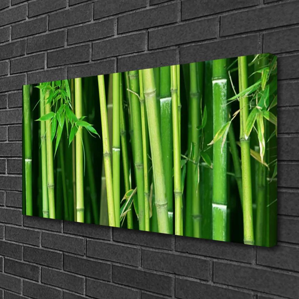 Obraz na plátně Bambusový Les Bambus Příroda 125x50 cm