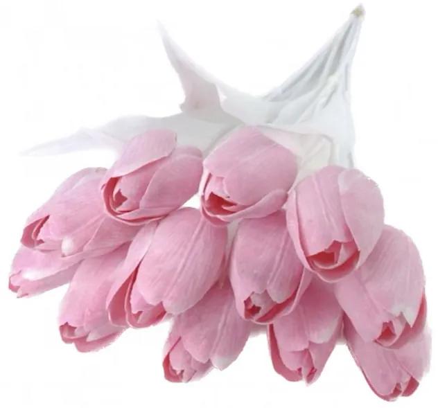 tulipán s bílým listem (6 ks) - růžová