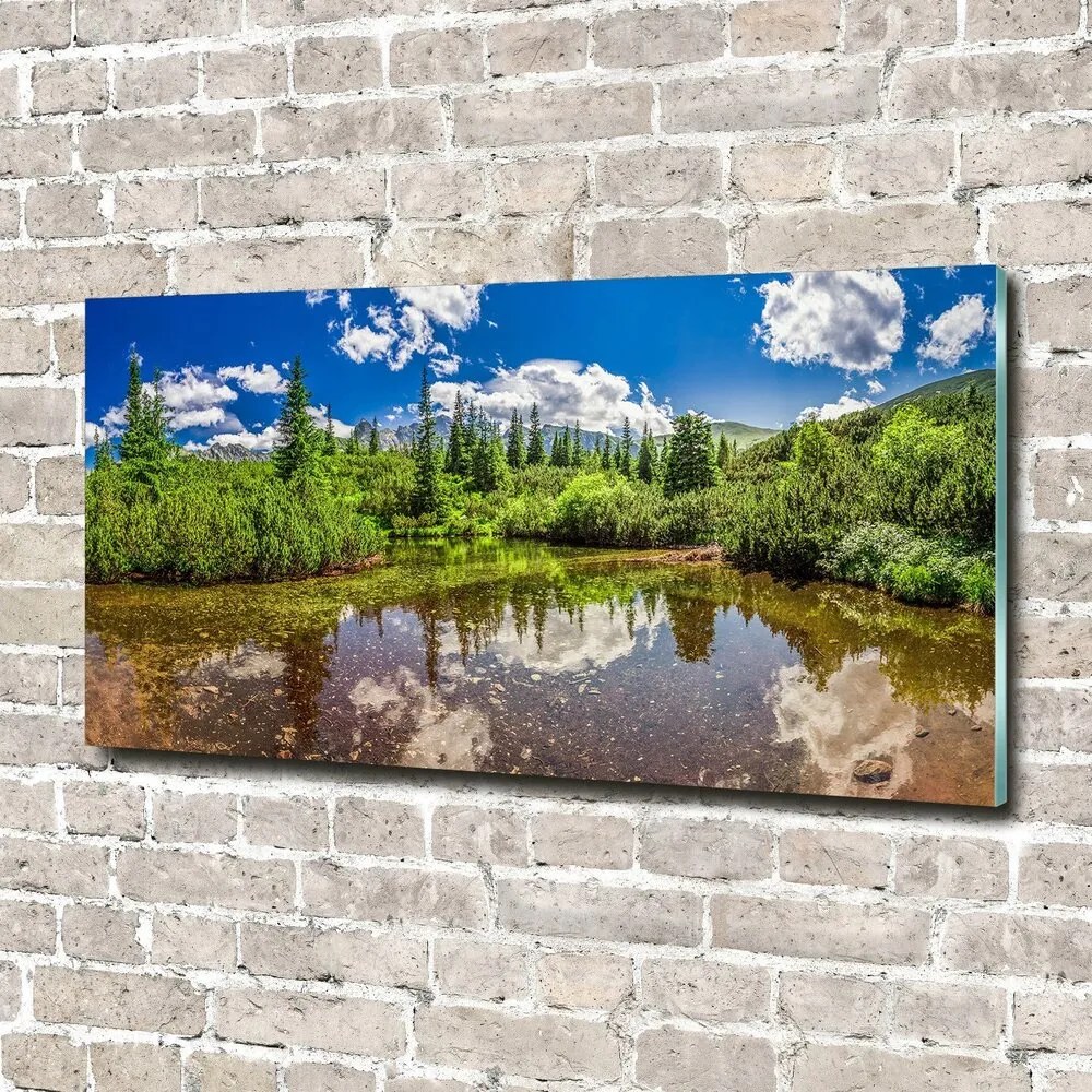 Wallmuralia Foto obraz sklo tvrzené Jezerov  lese 140x70 cm