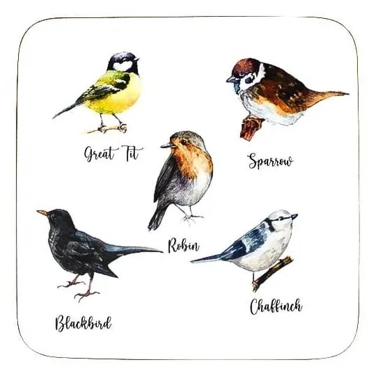 6ks pevné korkové podtácky ptáčci Garden birds - 10*10*0,4cm